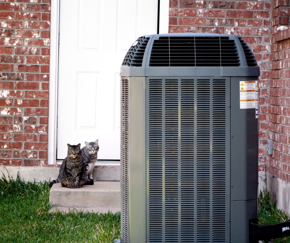 Unraveling The Mystery Of Your AC Freezing Up On James Island - Smoak's ...